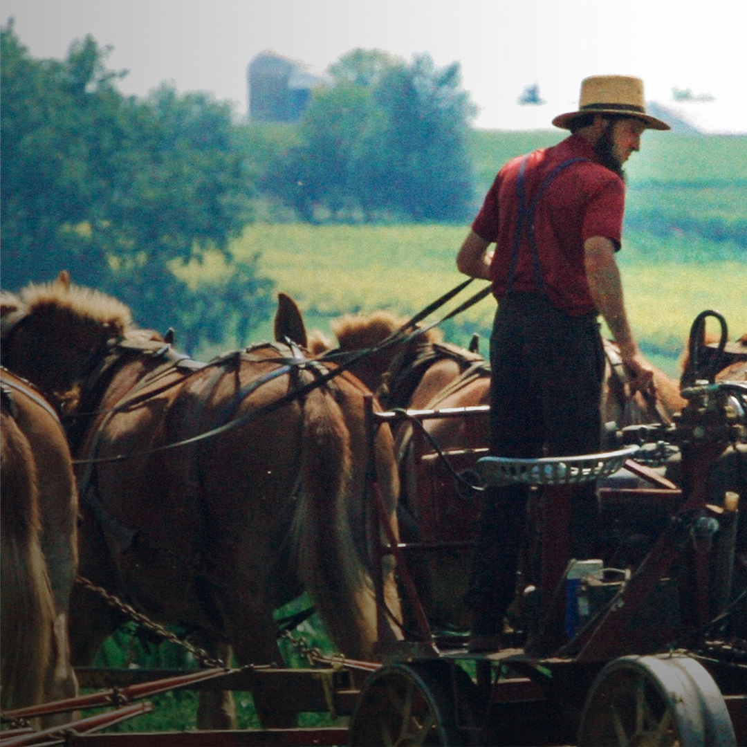 Watch Leaving Amish Paradise on BBC Select