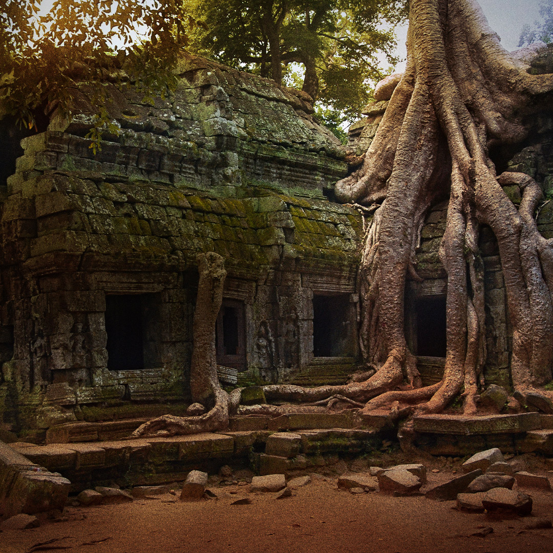 Watch Jungle Atlantis on BBC Select