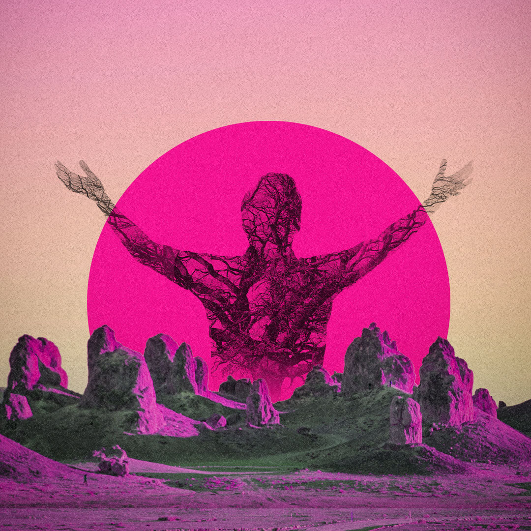 The Source Family - Watch the Documentary