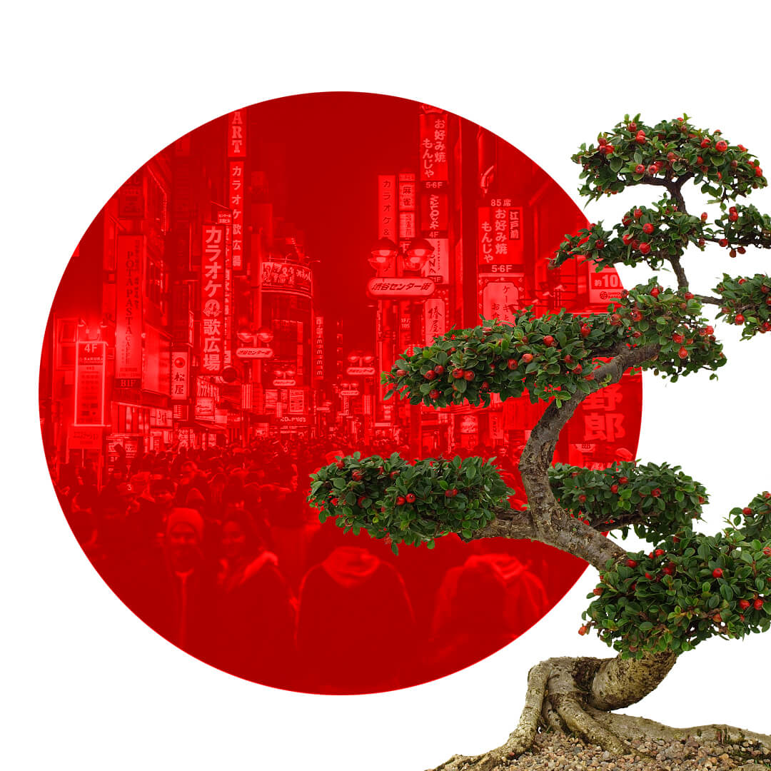 Watch The Art Of Japanese Life on BBC Select