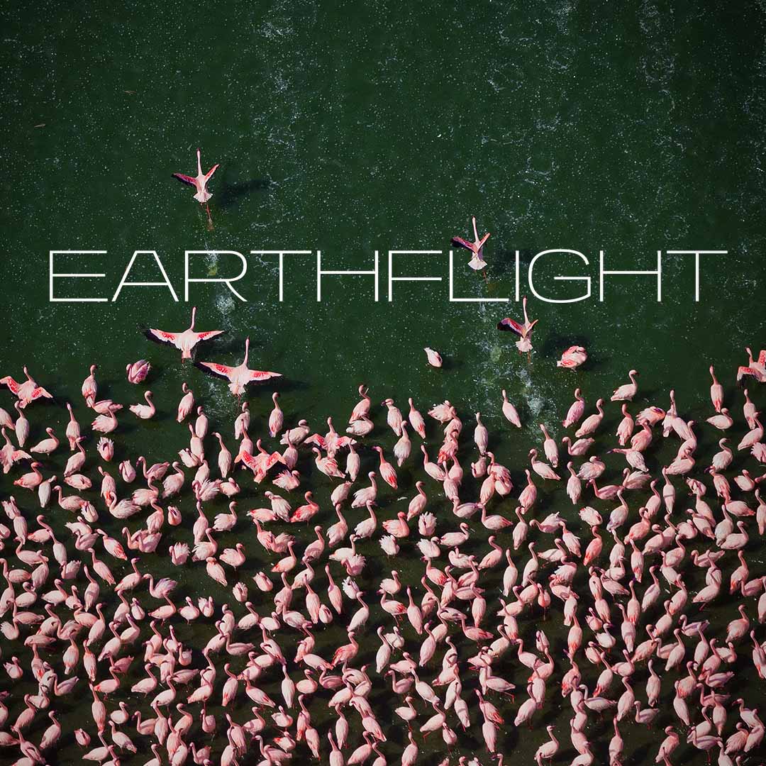 Watch Earthflight on BBC Select
