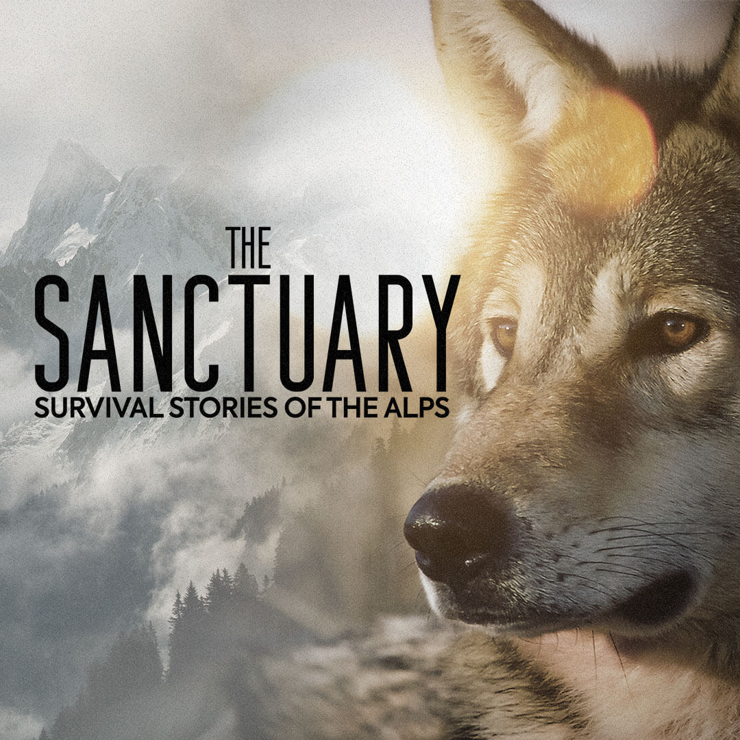 Watch The Sanctuary: Survival Stories of The Alps on BBC Select