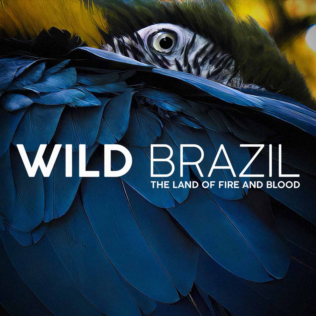 Watch Wild Brazil: The Land of Fire and Blood on BBC Select