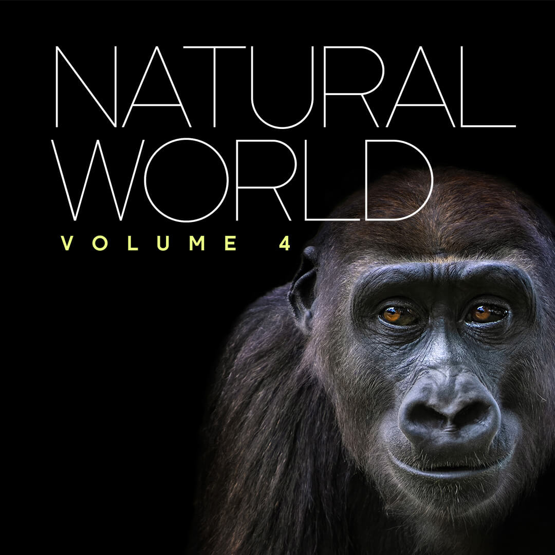Natural World Volumes 1-4 - Stream in the US & Canada