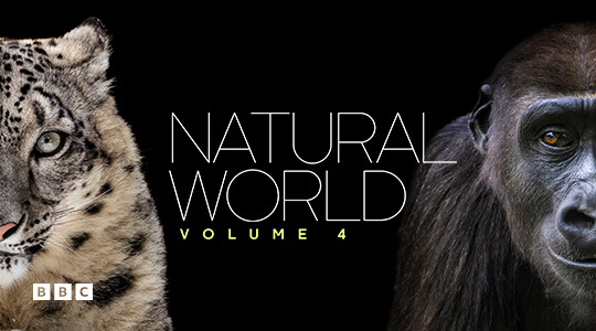 BBC Select - The Home for Documentaries - Stream in the US