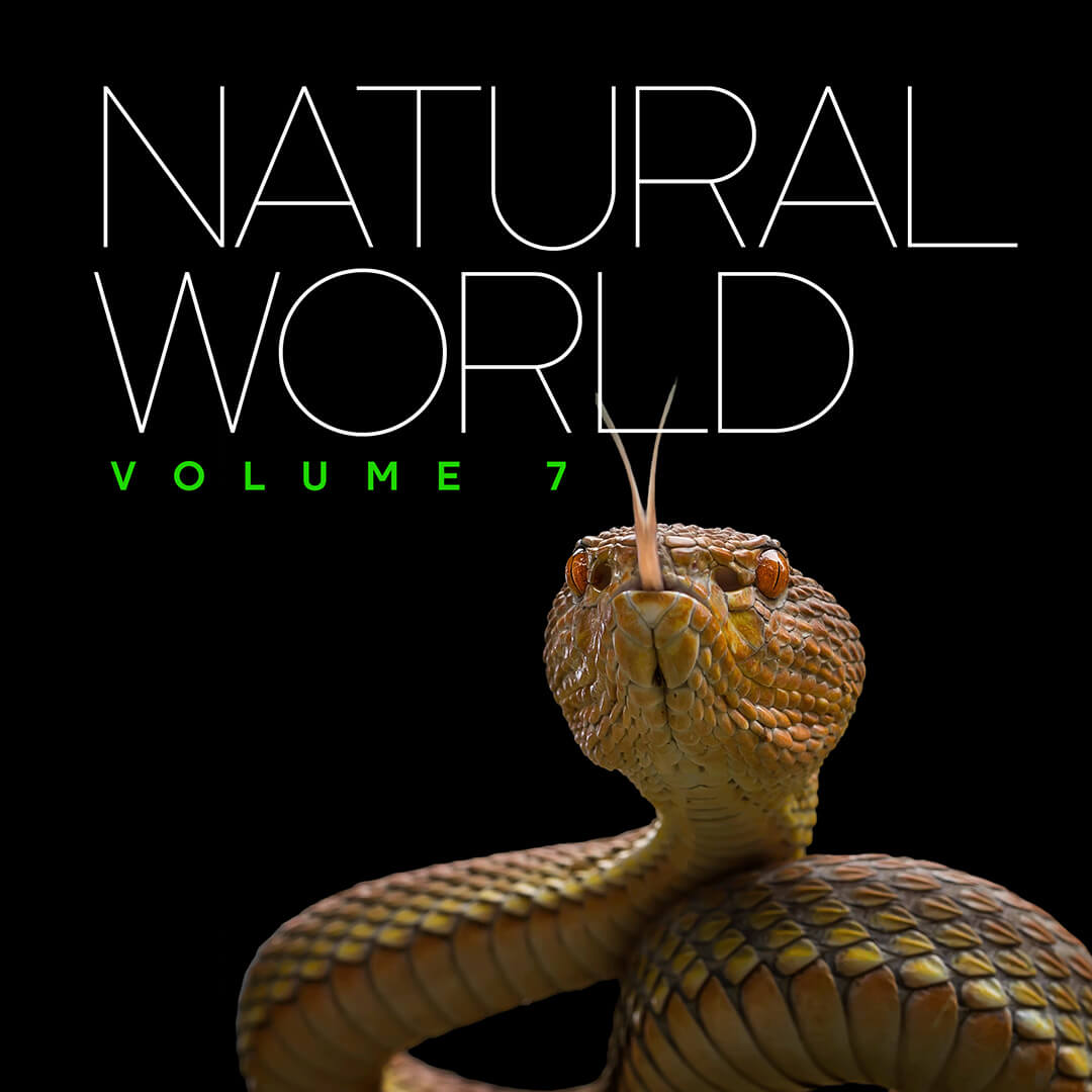 Natural World Volumes 1-7 | Stream in the US & Canada