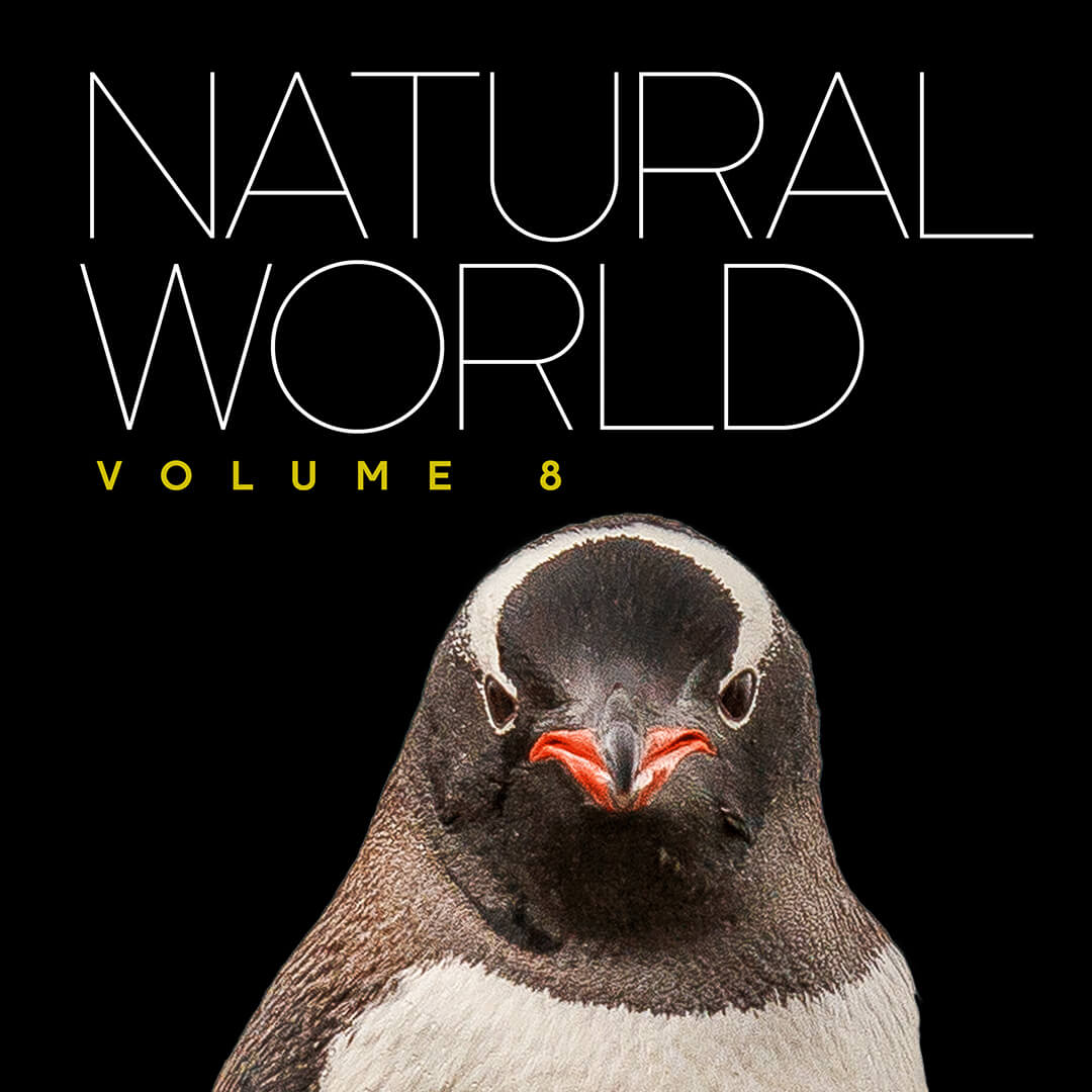 Natural World Volumes 1-8 | Stream in the US & Canada