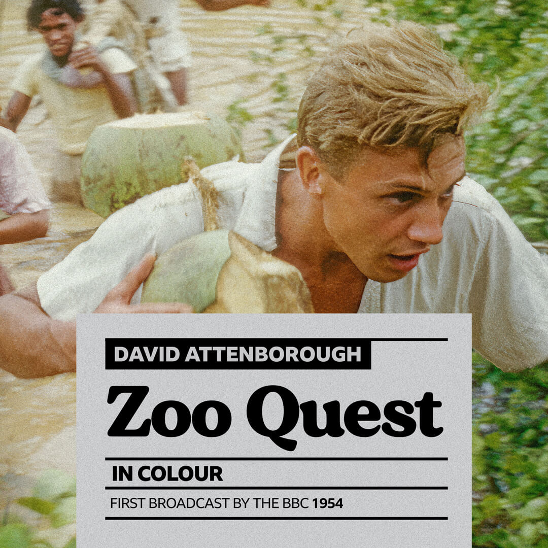 Zoo Quest In Colour - Watch on BBC Select