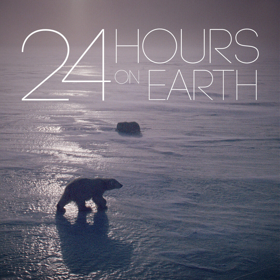 Watch 24 Hours on Earth on BBC Select