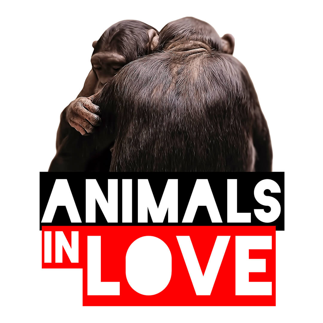 I Love Animals Sign