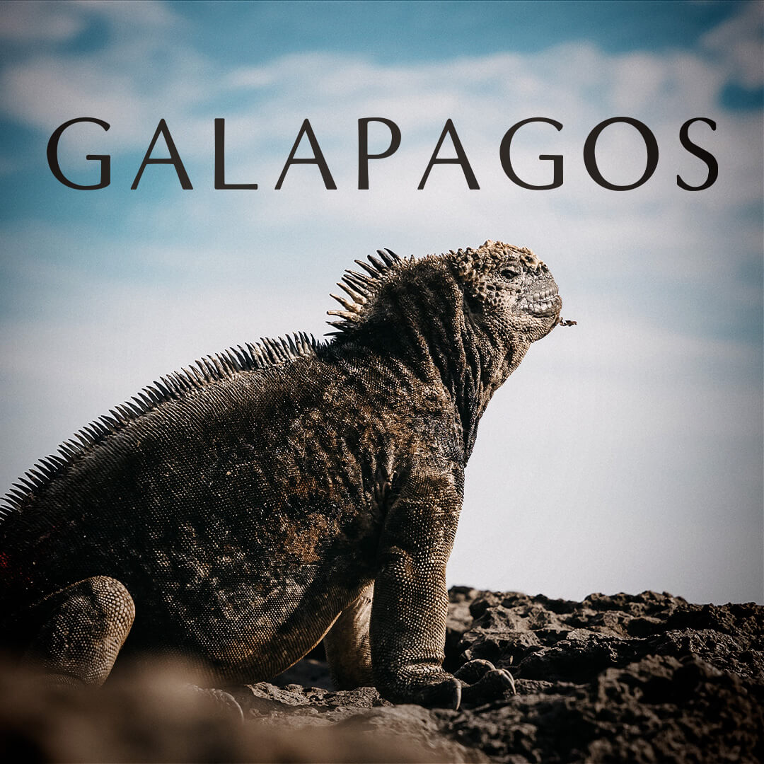 Watch Galapagos on BBC Select