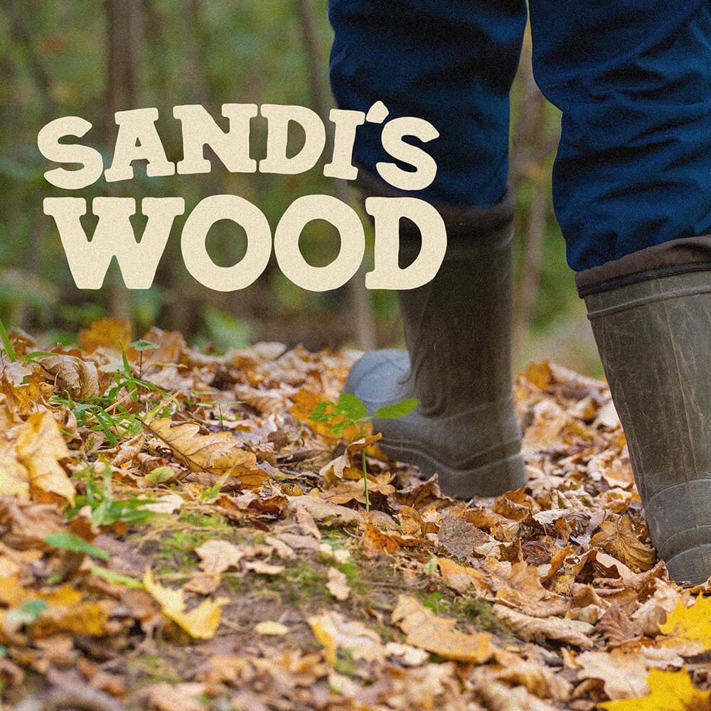 Watch Sandi's Wood on BBC Select