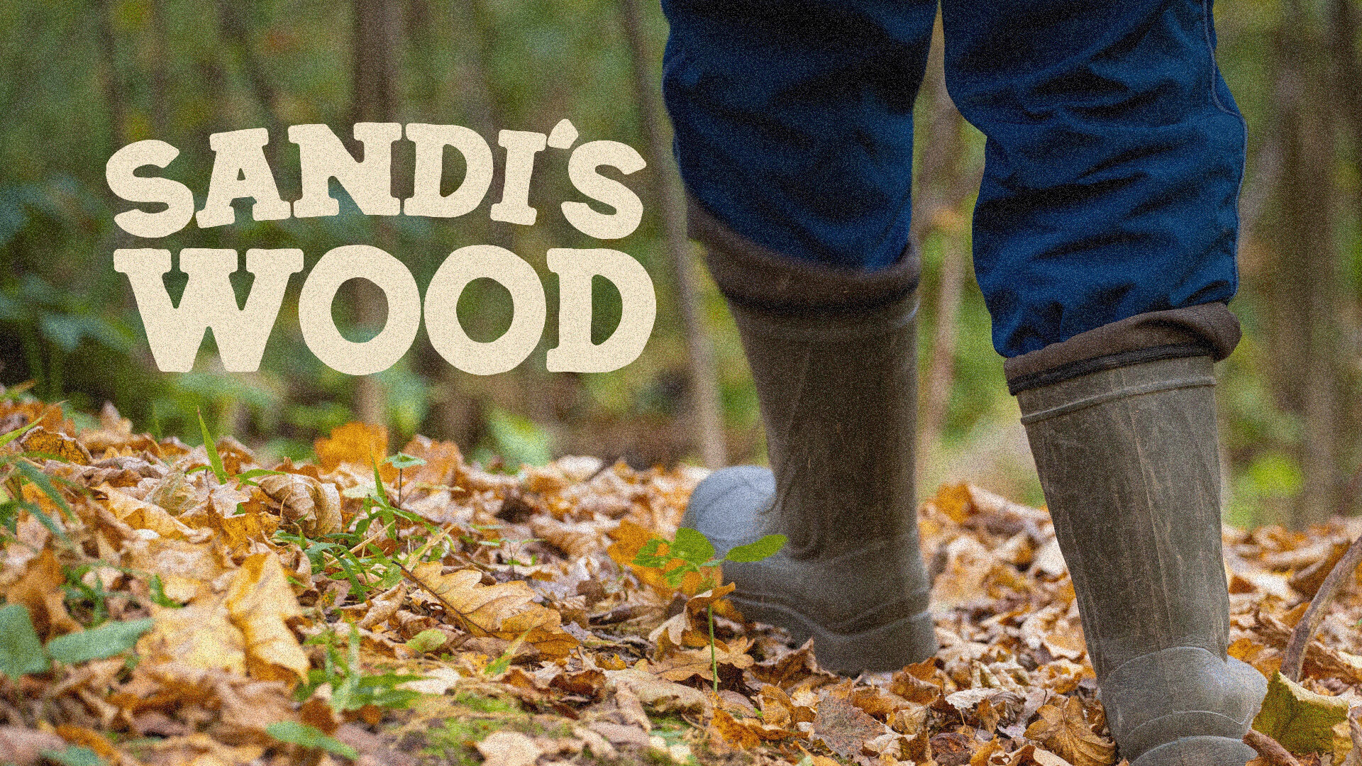 Watch Sandi's Wood on BBC Select