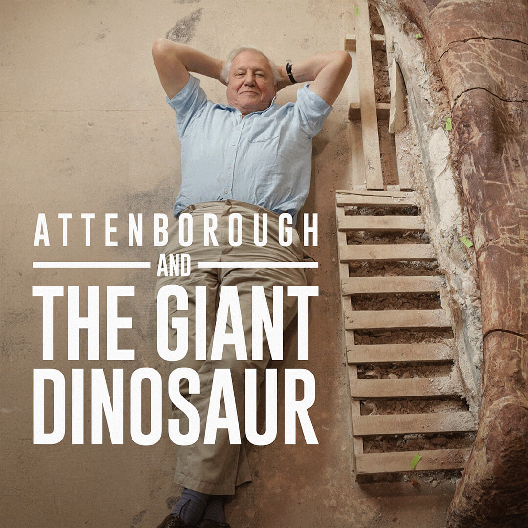 Watch Attenborough and the Giant Dinosaur on BBC Select