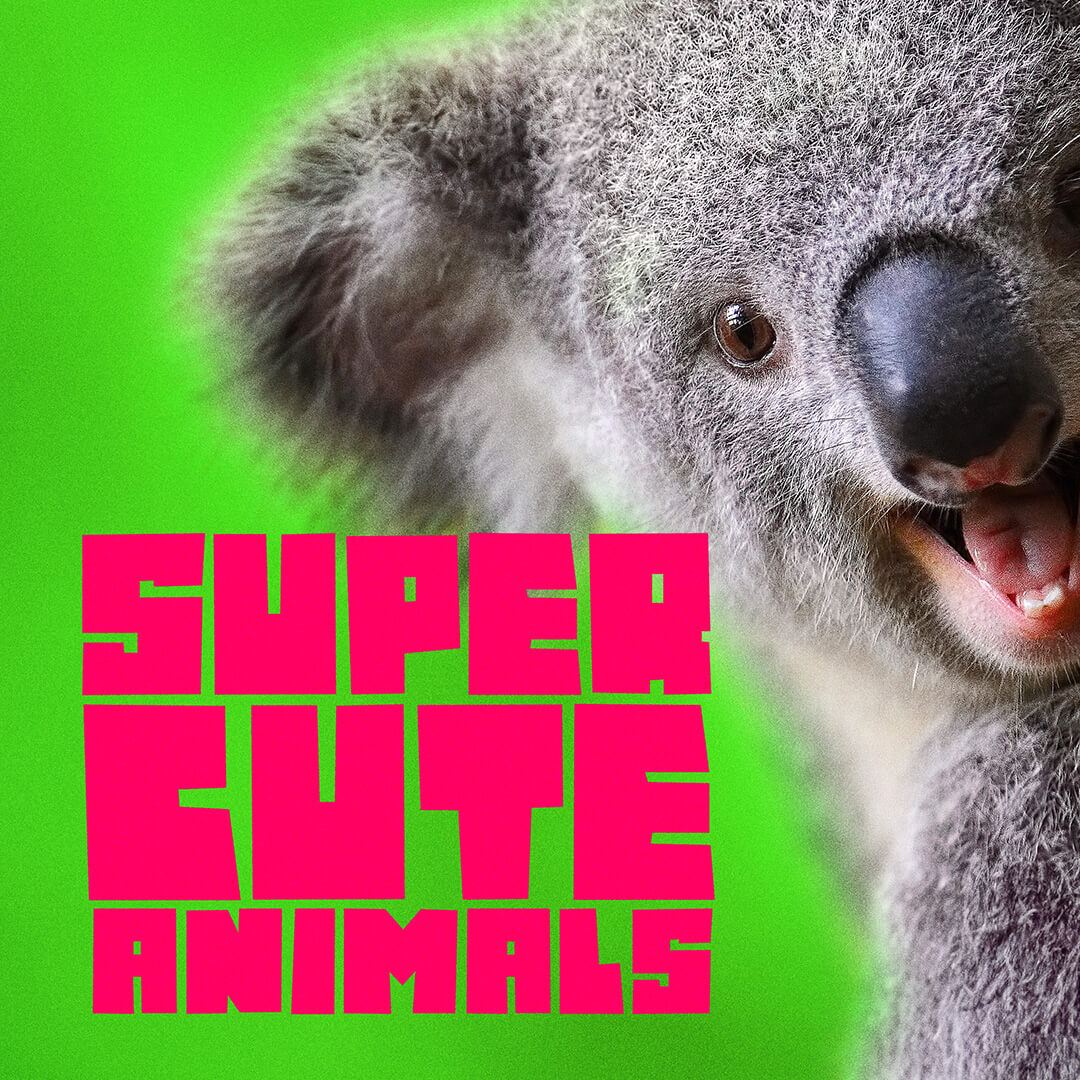 Watch Super Cute Animals on BBC Select