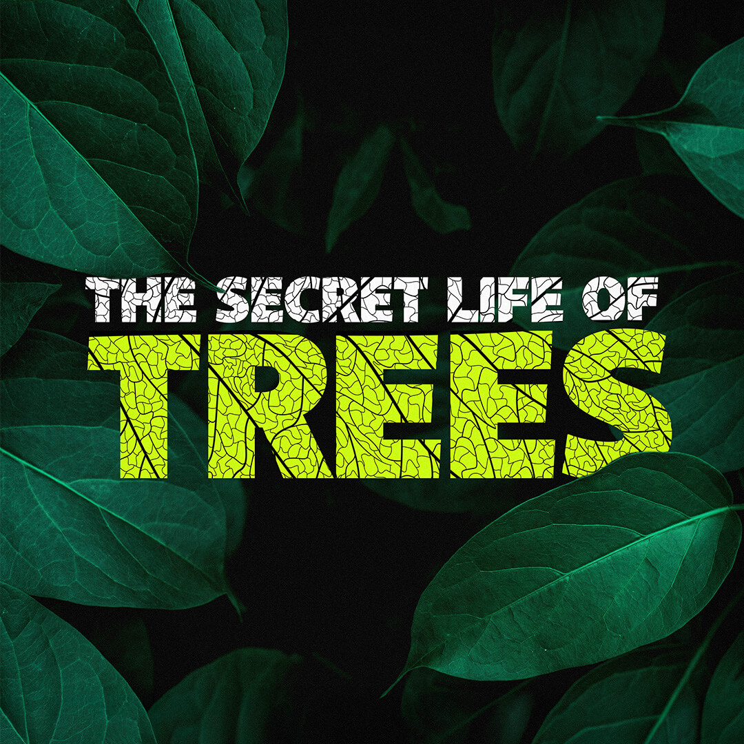 Watch The Secret Life of Trees on BBC Select