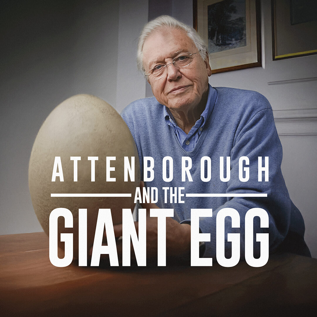 Watch Attenborough and the Giant Egg on BBC Select